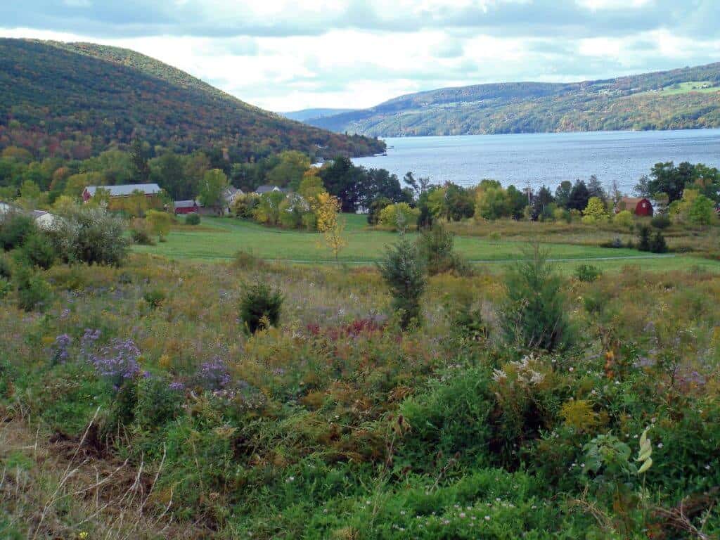 Best Of Finger Lakes Cycling 2026